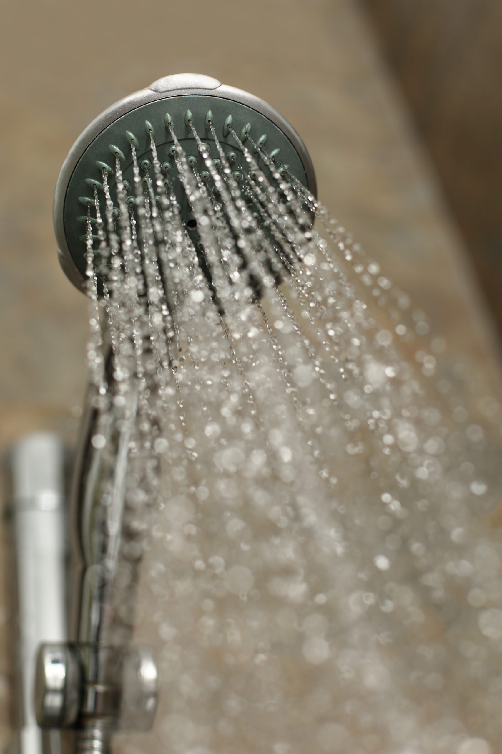 Warm Water Shower for Your Dogs - Rheem